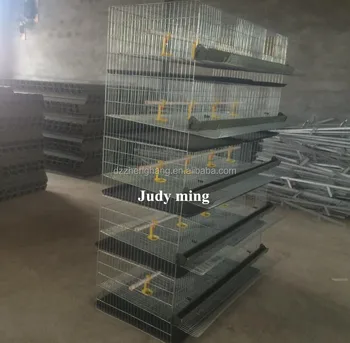Commercial Quail Layer Cage Pvc Coating Wire Mesh Layer Quail Cages For ...