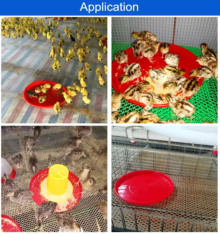 Competitive Price Chicken Feeder Trays For 1-7days Baby Chick - Buy ...