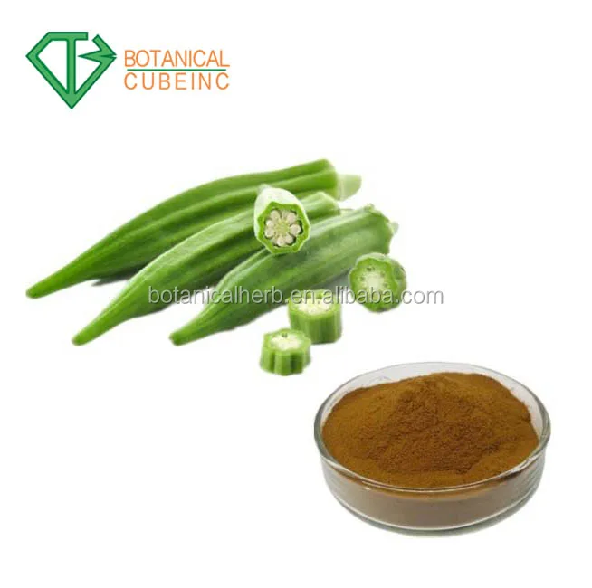 GMP Manufacturer Supplying High Quality Okra Extract Powder