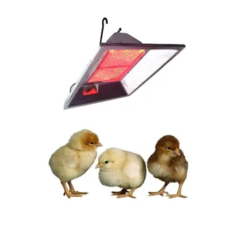Hanging Gas Catalytic Infrared Chicken Coop Radiant Heater - Buy ...