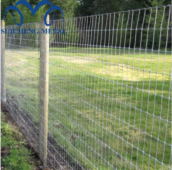 Gi Fence Netting/game Fence Zambia/fencing Net Iron Wire Mesh - Buy Gi ...