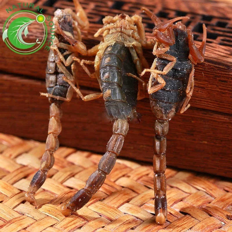Quan Xie Natural Animal Medicine Whole Dried Scorpion - Buy Dried Whole ...