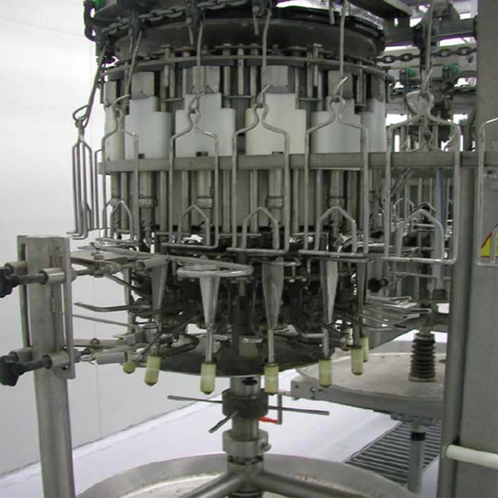 Chicken Birds Slaughterhouse Butchery - Automatic Evisceration