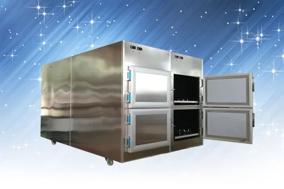 Roundfin Cheap And Portable Refrigerator Coffins Cooler For Dead Body ...