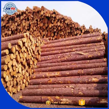 Red Pine Logs 30-60cm & 6 Meter Length Wood Logs - Buy Pine Logs,Pine ...