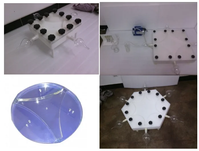 Animal Olfactometer - 4-Choice Olfactometer for Lab Use