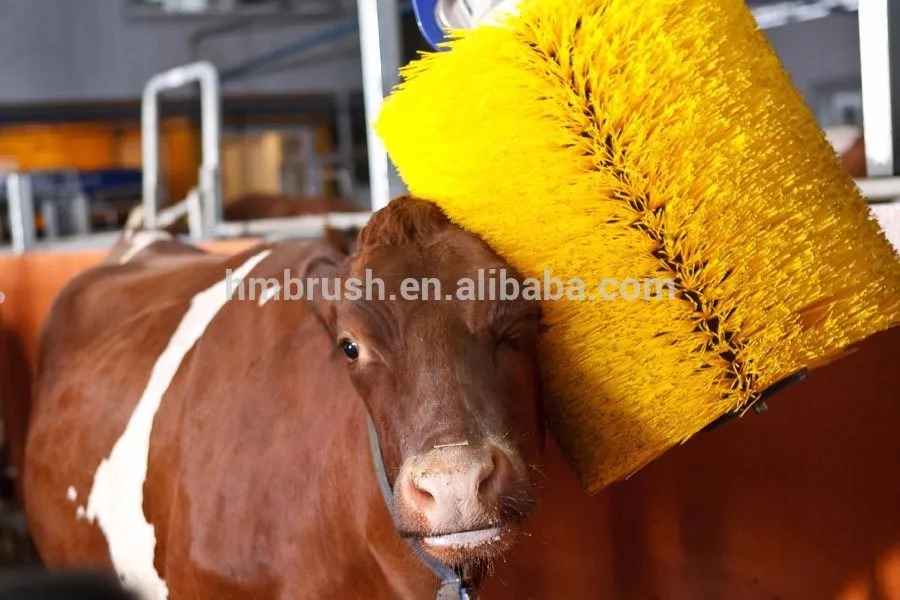 Agricultural Cattle Cleaning Cow Massager Brush - Durable & Efficient