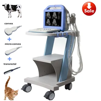 Usg,Cow Pregnancy Test Handheld Veterinary Use Vet Ultrasound Scanner ...