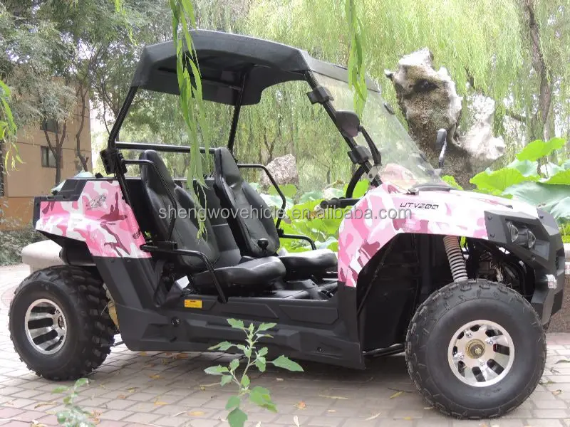 170cc Chain Drive Cvt Gas/diesel Fuel 2x4 Kids Utv - Buy 170cc Kids Utv ...