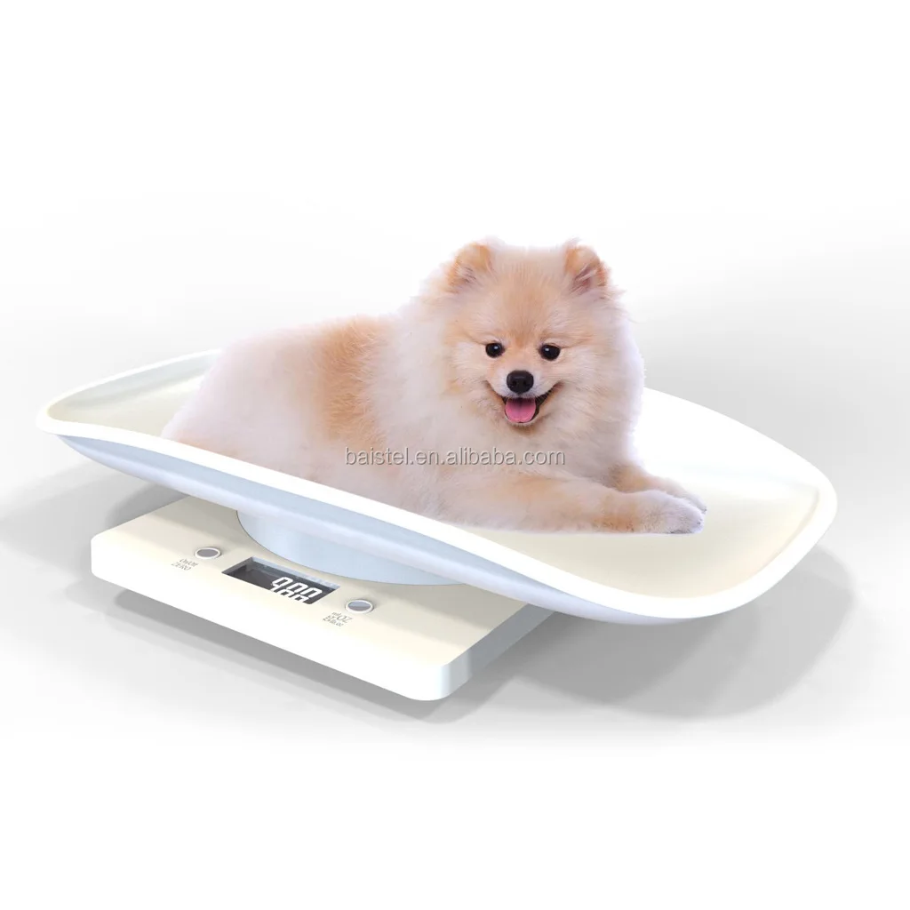 Digital Pet Scale - Accurate Weight Measurement for Cats