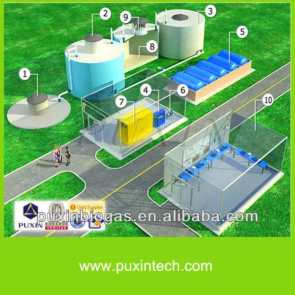 PUXIN 10m3 Household Methane Gas Digester for Cooking Fuel