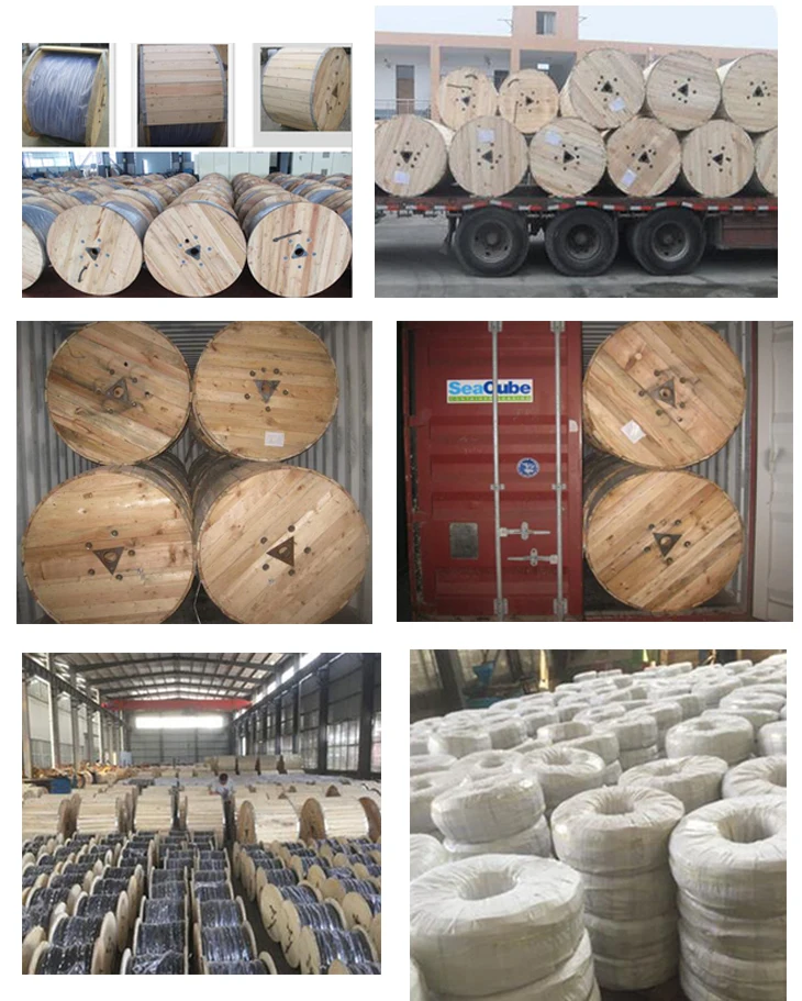 Aac Centipede /aac Centipede Conductor - Buy Overhead Conductor Aac,Aac ...