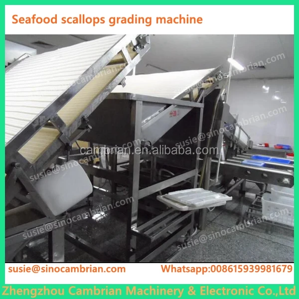 5 Levels Shrimp Grading Machine Crayfish Sorter With Rotation Roller ...