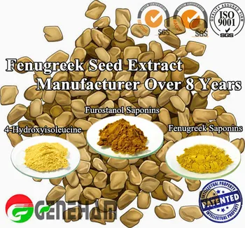 Penis Enlarge Herbal Medicine Raw Material /fenugreek Seed Extract ...