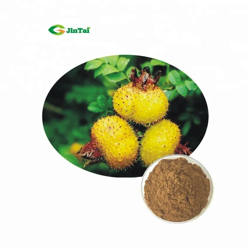 Rosa Roxburghii Fruit Extract Powder - 5% VC for Health