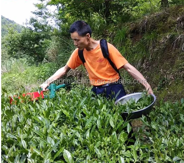 Srilanka Mini Hand-held Electric Tea Plucking Machine - Efficient ...