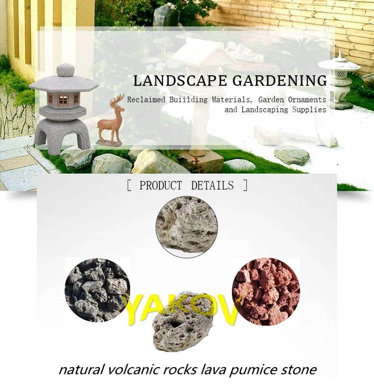 White Volcanic Pumice Stones - Natural Lava Rock Chips