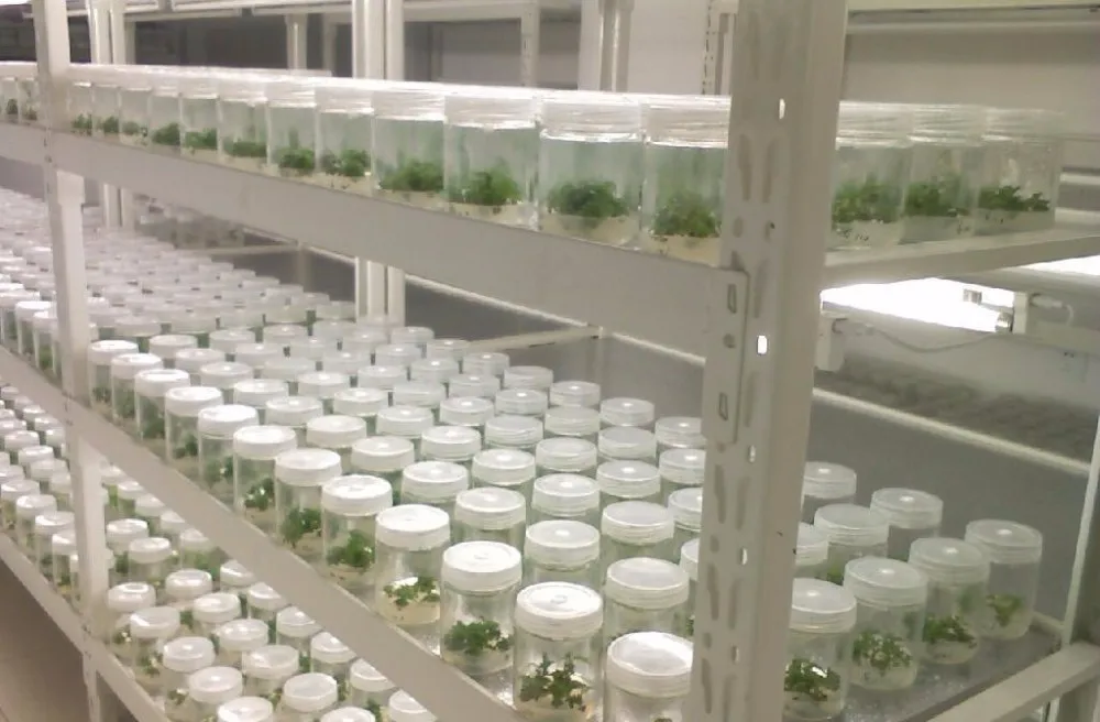 Creherit White Color High Airflow Tissue Culture Vent Filter