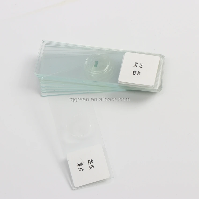 Human Oral Pathology Medical Pathology Prepared Slides - Buy Tooth ...