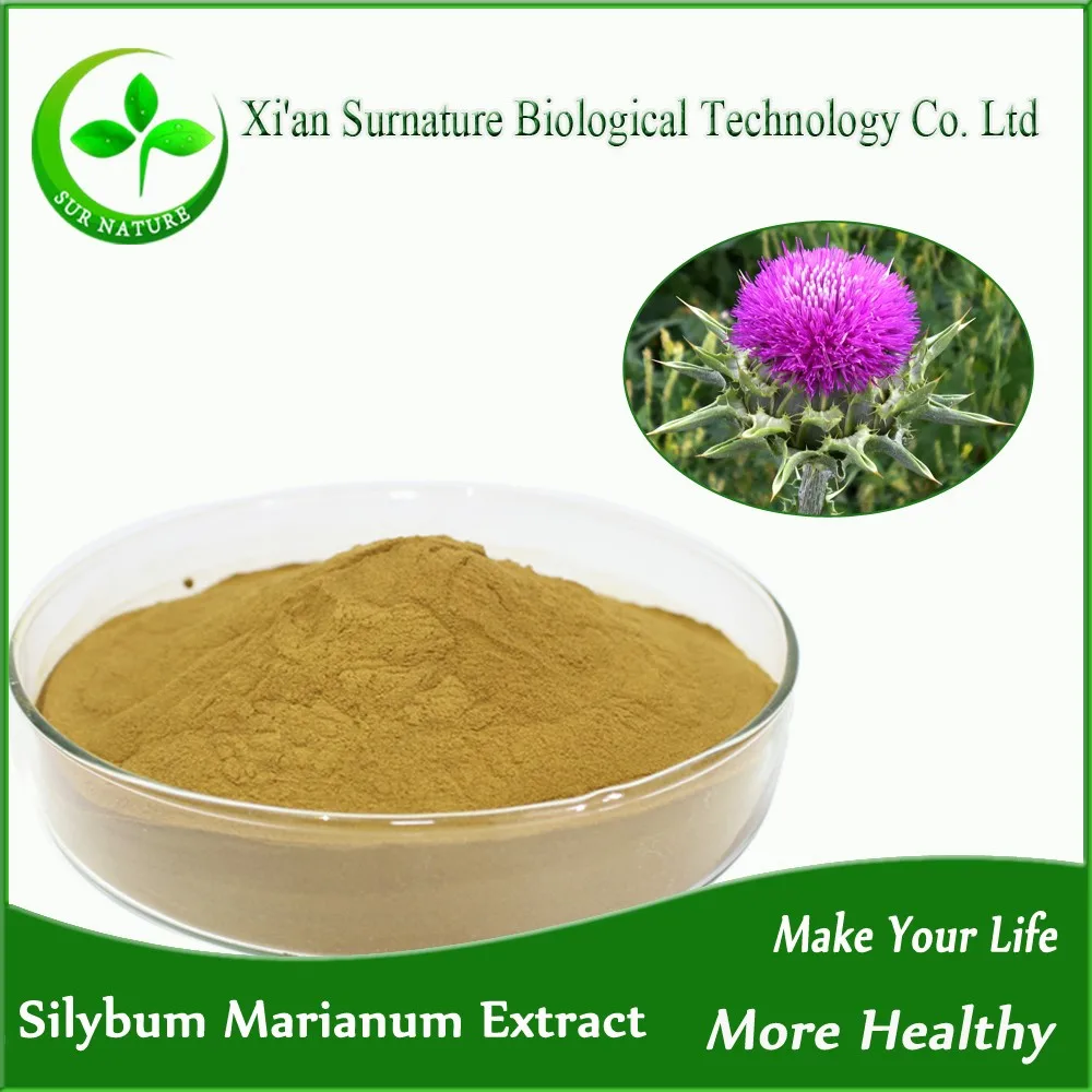 Natural Milk Thistle /silybum Marianum Extract Powder Silymarin 80% ...