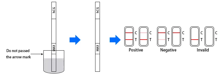 hCG one step urine pregnancy test dipstick, Wholesale General Assay ...