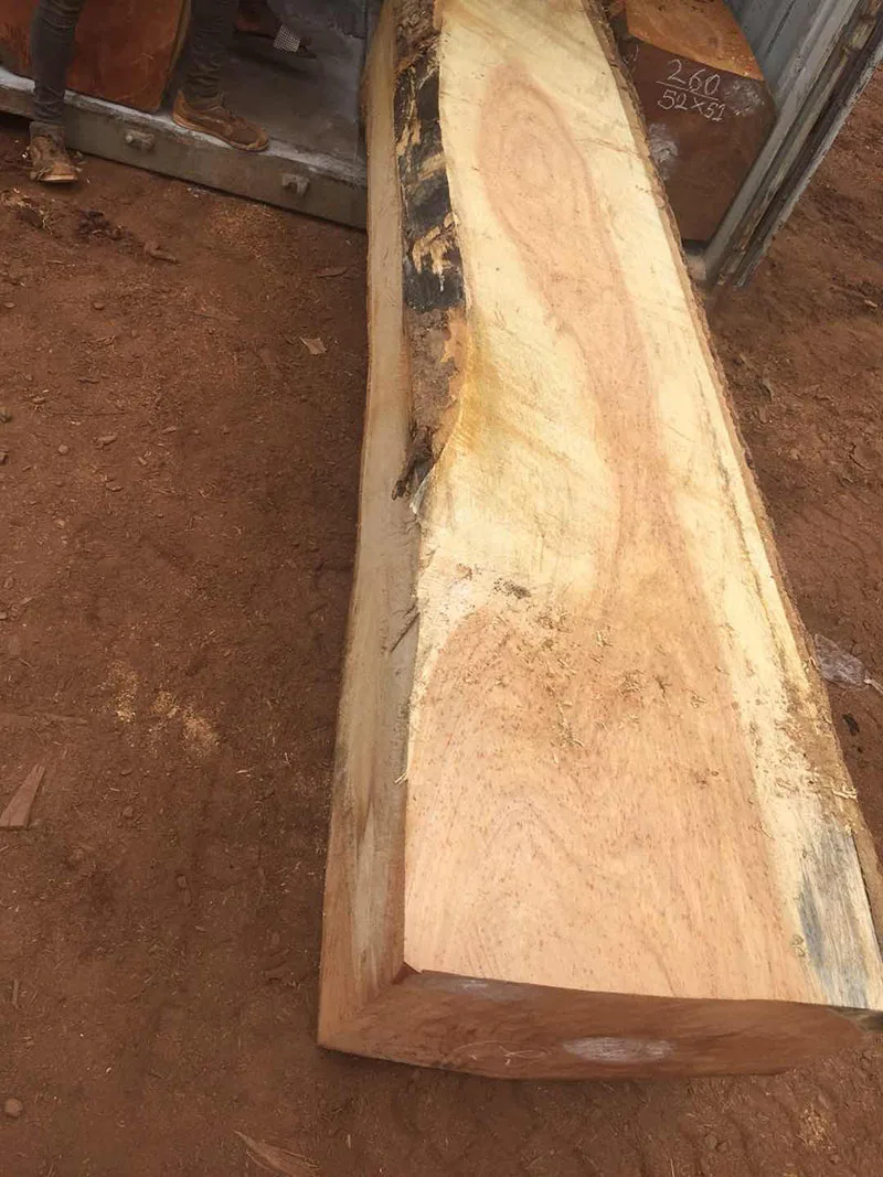 Padouk,Kevazingo,Tali,Sapelli,Okan,Azobe,Dibetou,Okoume,Ovengk Timber ...