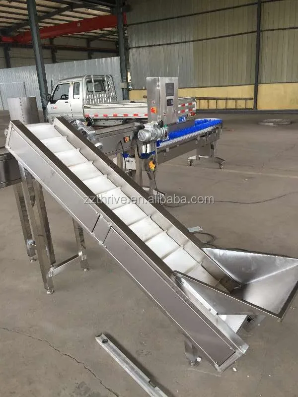 Conveyor Belt Weight Sorting Machine - Efficient & Reliable