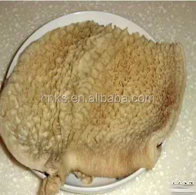 Hot Sale Automatic Cattle Sheep Tripe Washing Cow Stomach Cleaning ...