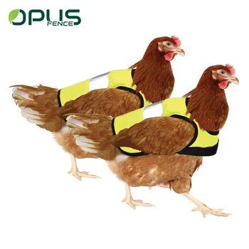 Reflective Safety Vests Will Protect Chickens - Buy Reflective Safety ...
