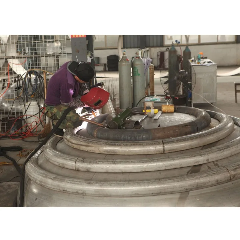 Stainless Steel Crystallization Reactor - Continuous Stirring