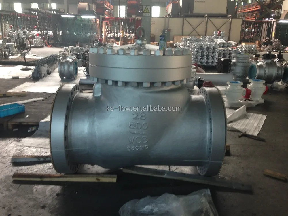 6 Inch Stainless Steel Check Valve Swing - Durable & Efficient