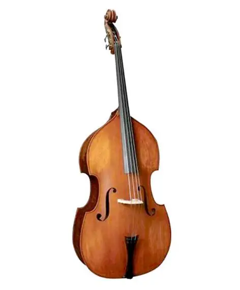 Spruce Top Double Bass String Instrument - Buy Double Bass,Solidwood ...