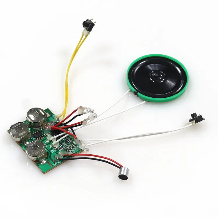 Diy Human Voice Recording Sound Chip With Led Flashing Lights - Buy ...