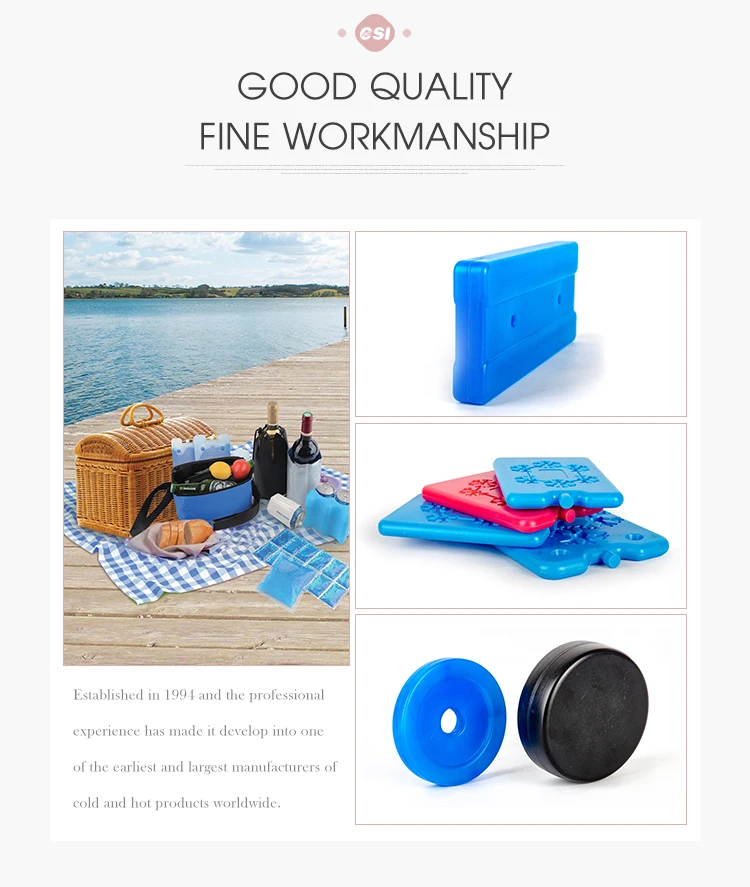 CSI Fresh Food Storage HDPE Freezer Ice Block Cooler Lunch Ice Box Ice ...