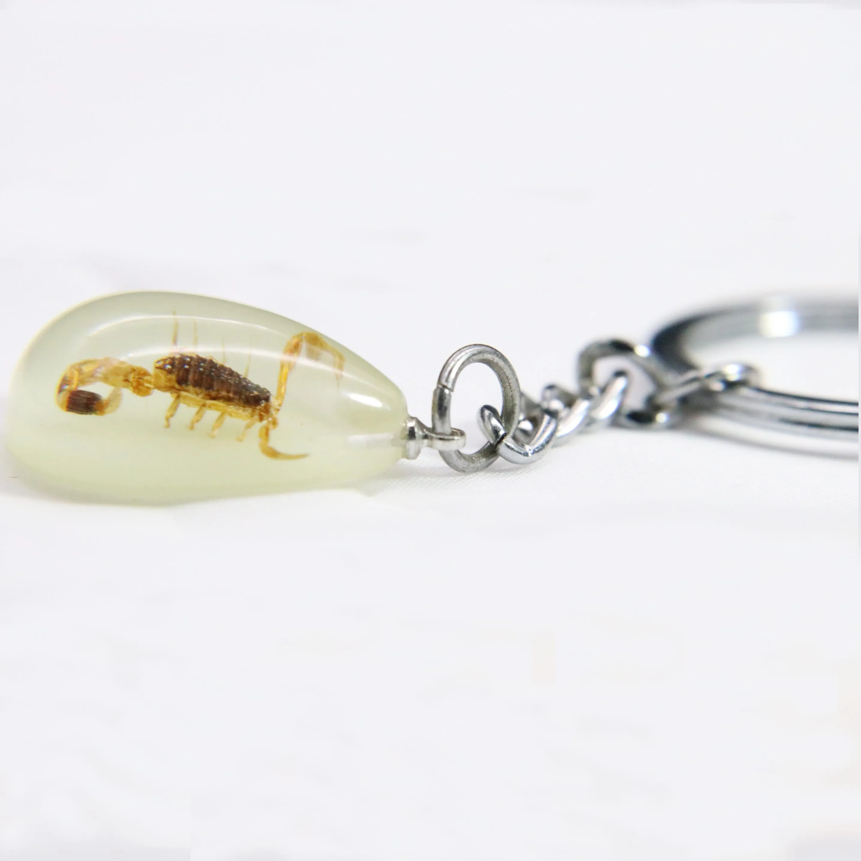New Fashion Real Yellow Scorpion Epoxy Resin Water Drop Glow In The ...