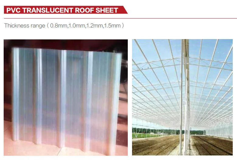 PVC Transparent Roof Sheets for Sheds - Durable & Clear