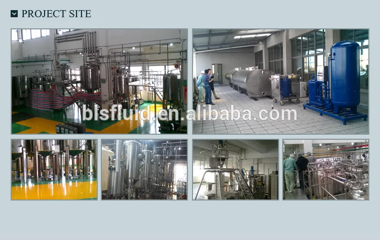 BLS High Quality Beverage Wine Plate Frame Food Grade Filter Press/beer ...