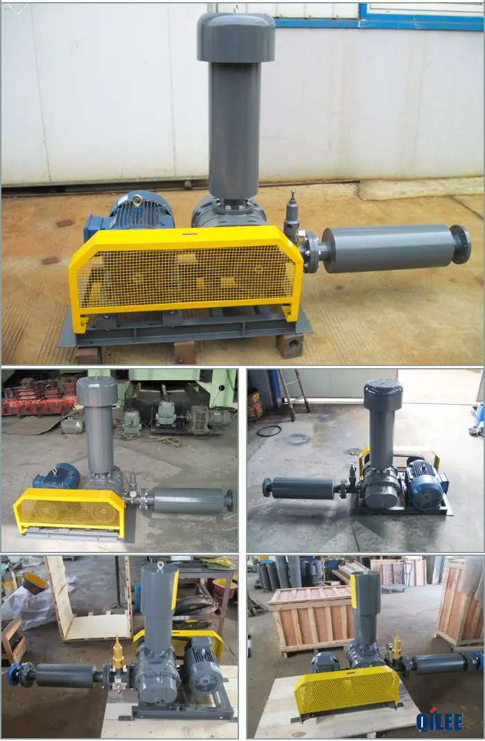 Small Three Lobe Industrial High Pressure Aerzen Root Blower