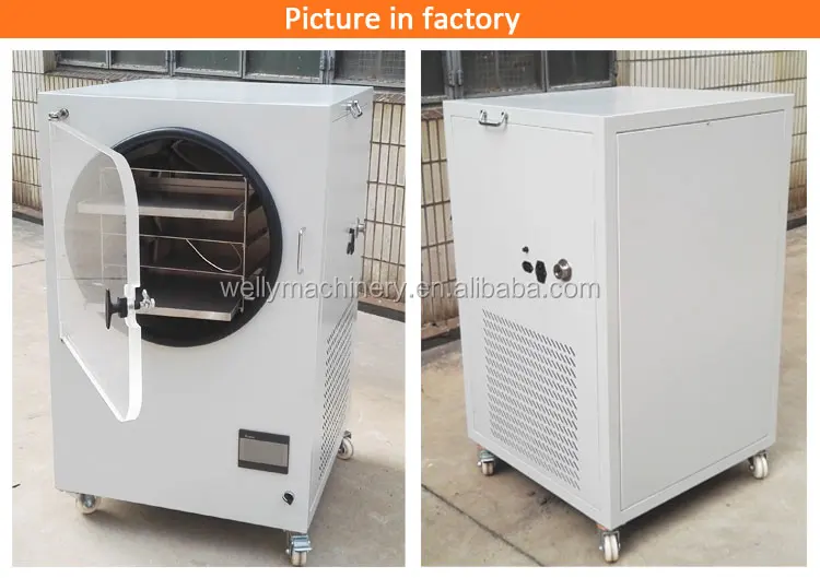 Portable Freeze Dryer/ Used Freeze Drying Equipment/ Vaccum Freeze ...
