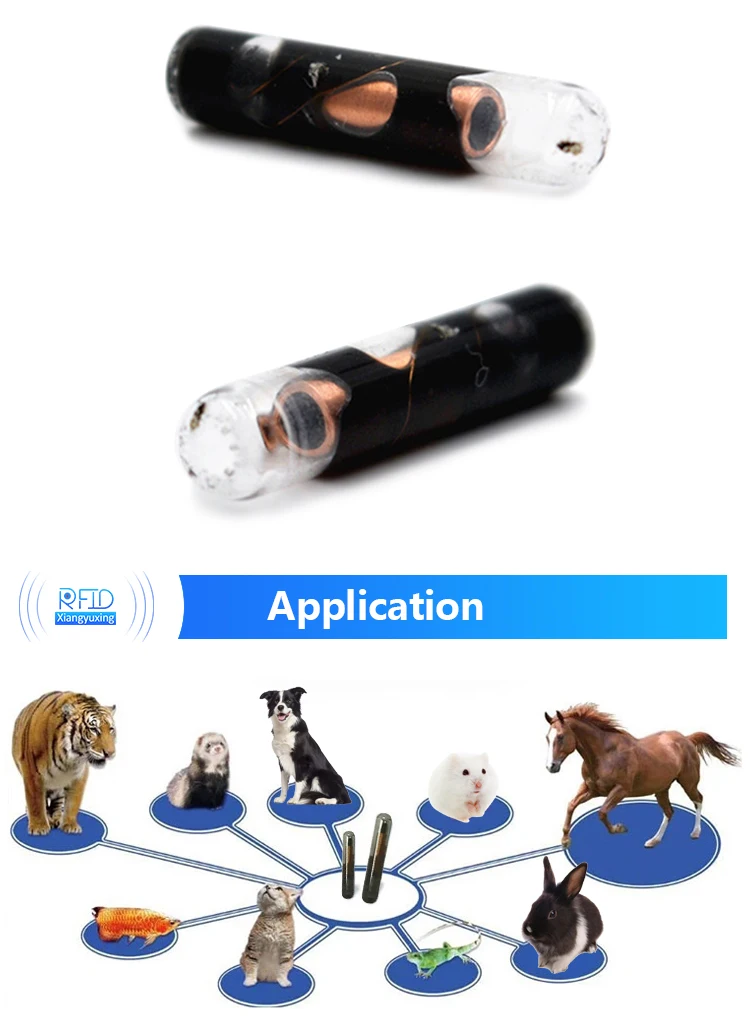 Identify Animal RFID Smallest Tag 125khz 134.2khz