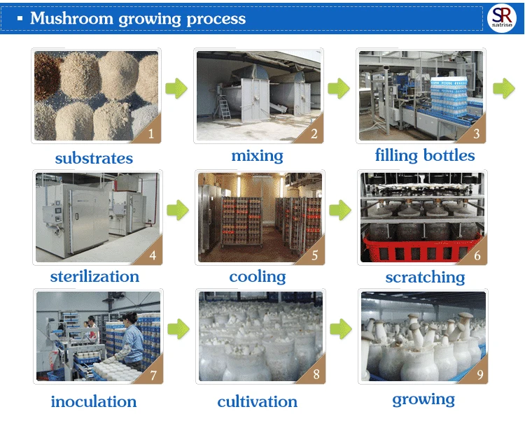 Mushroom Cultivation Equipment Liquid Spawn Fermentation Tanks - Buy ...