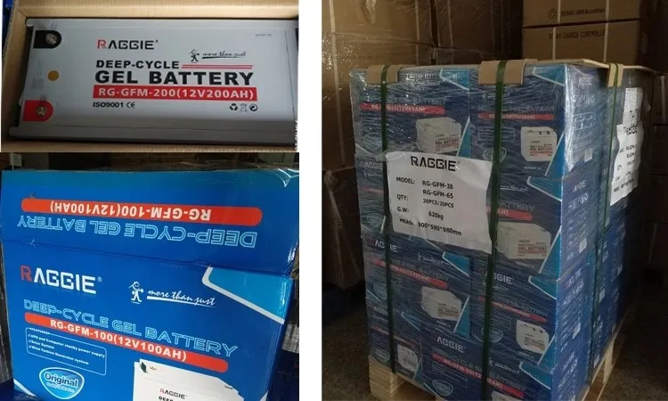 Raggie 100ah 12v Solar Dry Cell Battery For Solar System/car/bicycle ...