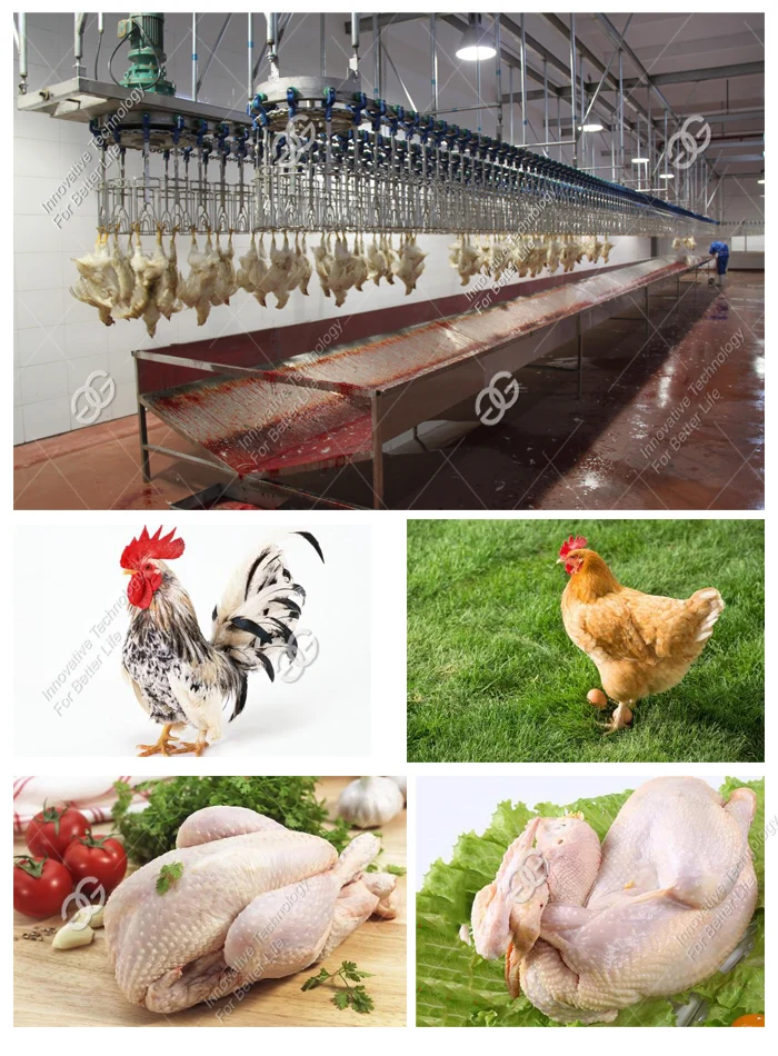 New Automatic Small Mobile Slaughter Unit Machinery Slaughtering Line ...