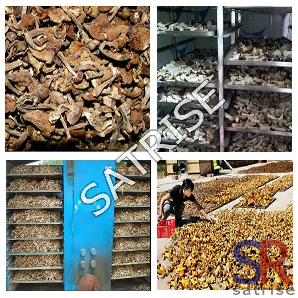Mechanical Drying Equipment For Mushrooms Processing Multifunctional ...