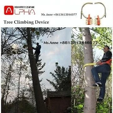Coconut Tree Climbing Machine - Safe & Efficient Solutions