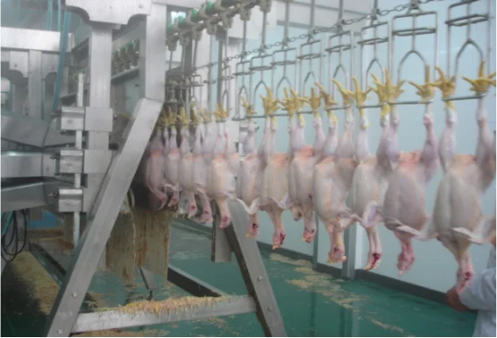 Poultry Slaughterhouse Automatic Chicken Carcass Washer Cleaning - Buy ...