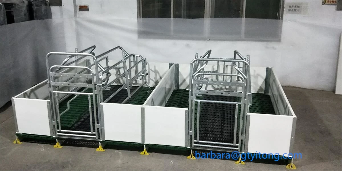 Animal Cages Piggery Equipment Farrowing Crate - Buy Farrowing Crate ...
