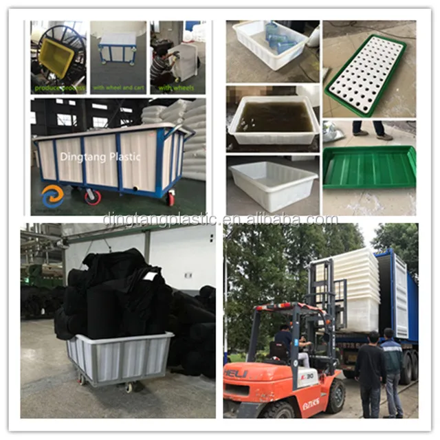 Plastic Fish Tubs - Durable and Customizable Solutions