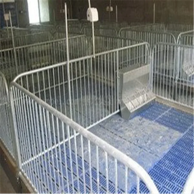 Pig Farm Equiment Piglet Rearing Pen Piglets Nursery Crate Nursery ...