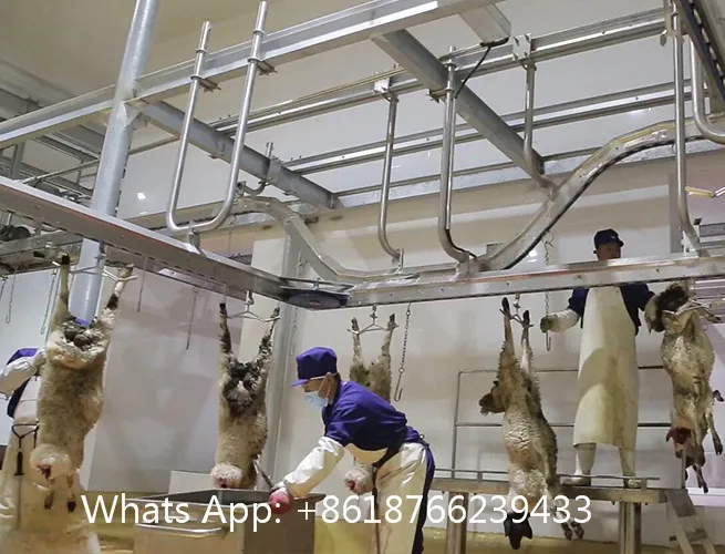 New Complete Halal Sheep Slaughtering Line Equipment For Goat Lamb ...
